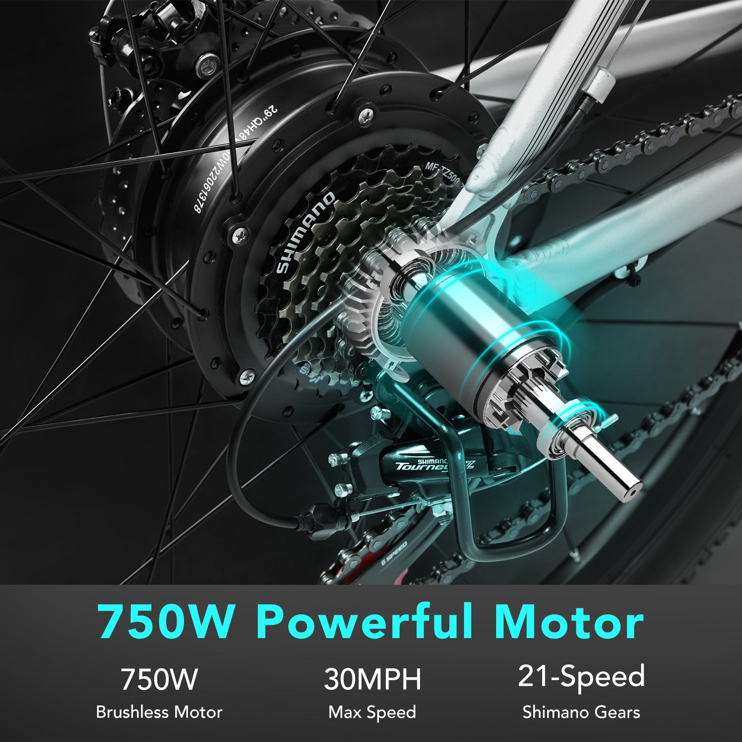 The best professional electric bike brands in the world