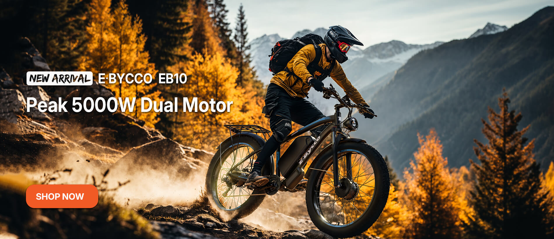 The best professional electric bike brands in the world