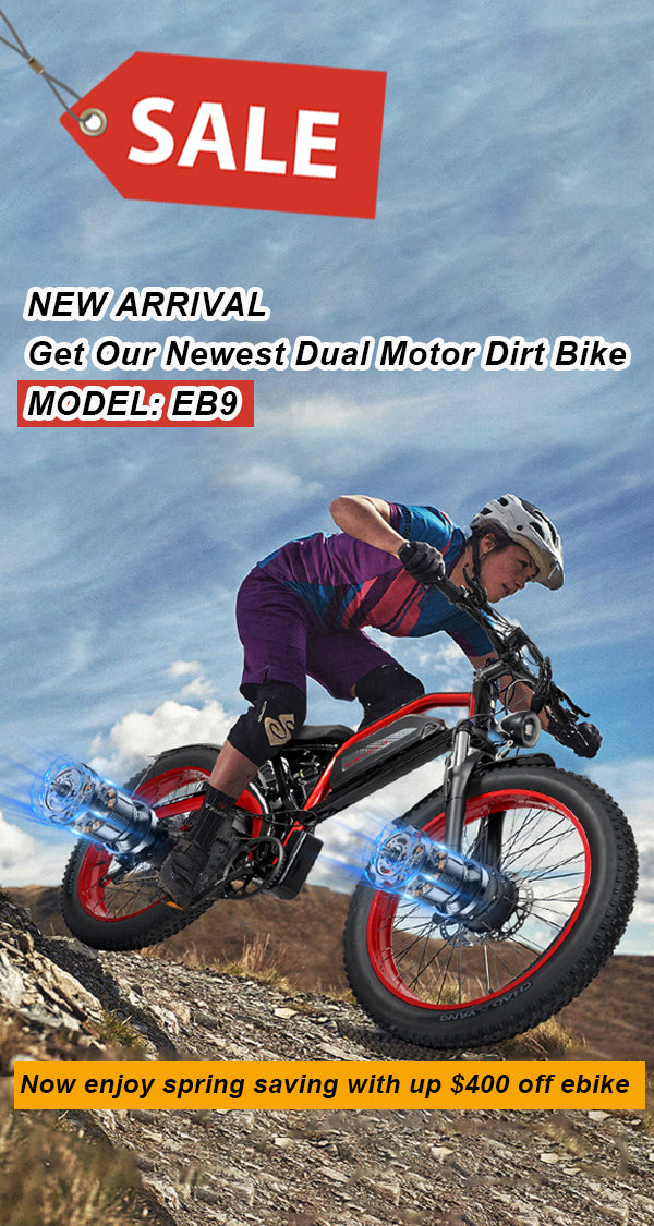 The best professional electric bike brands in the world