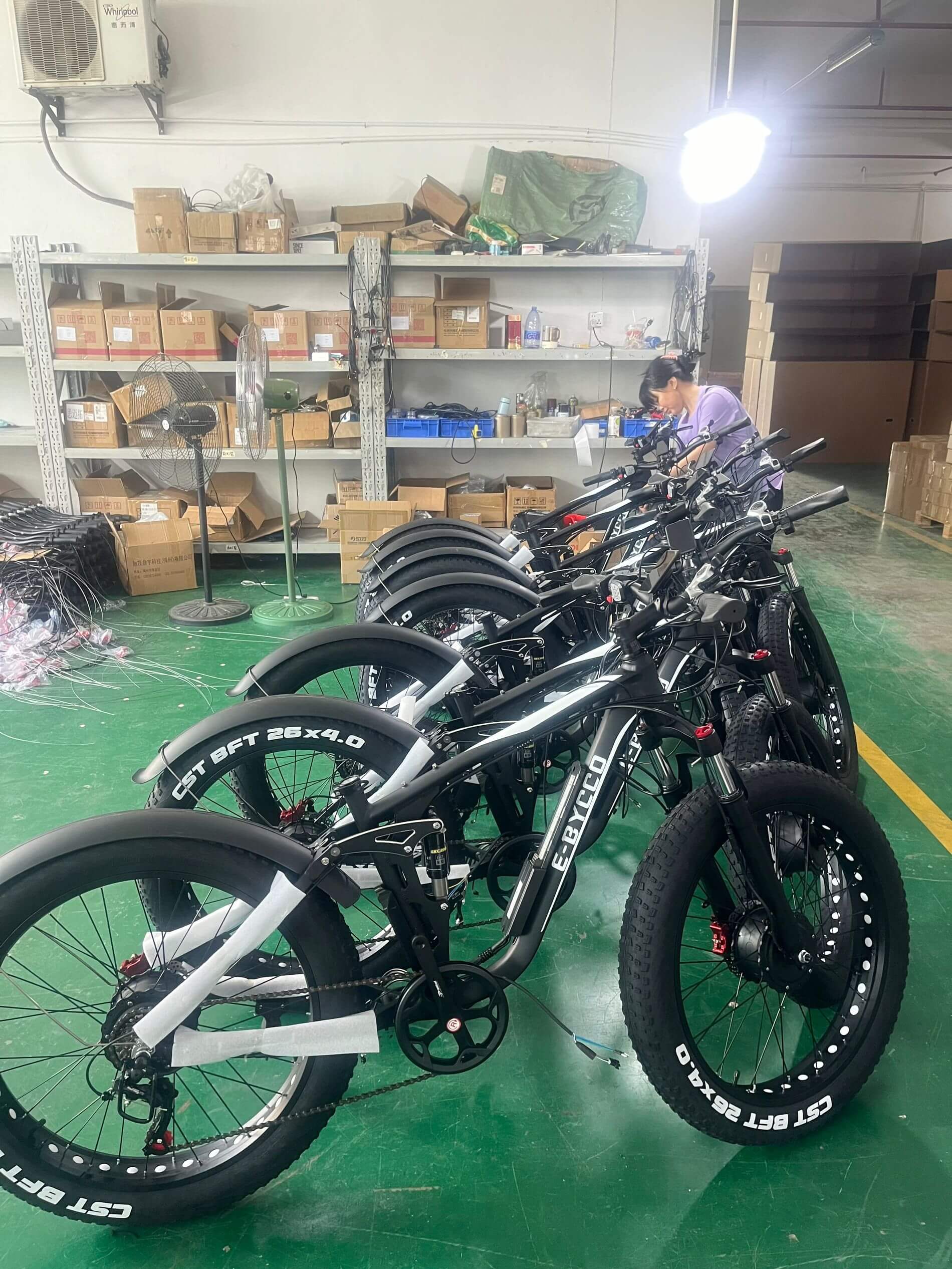 The best professional electric bike brands in the world